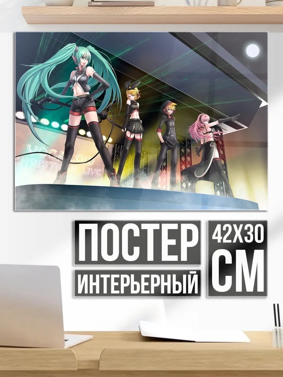 Плакат постер Мику концерт