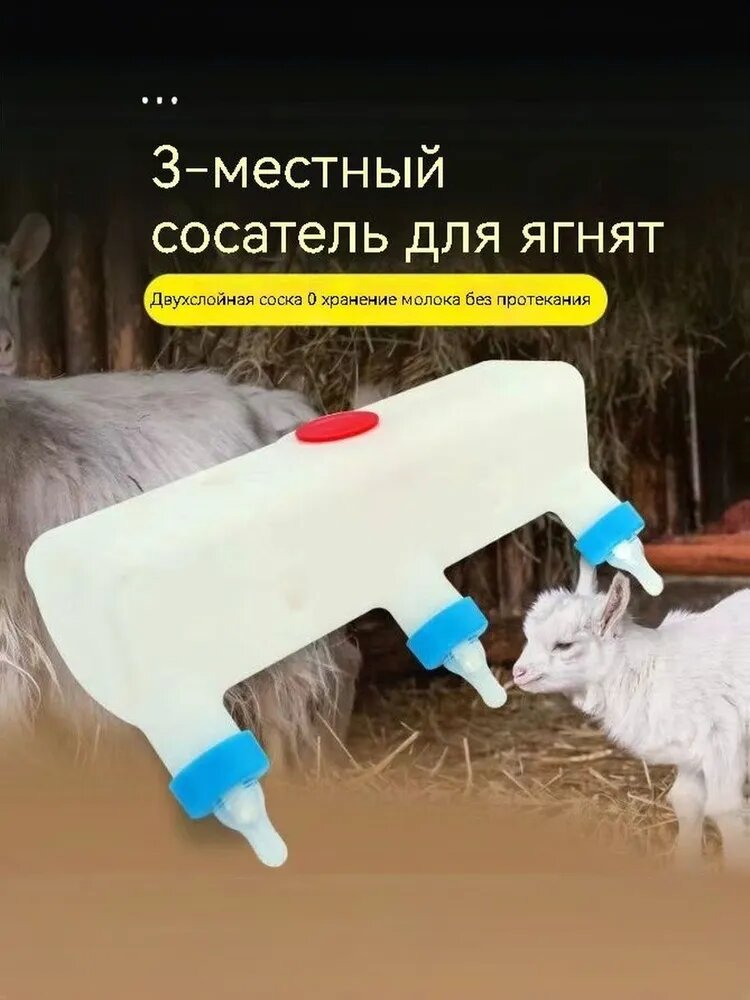 Устройство для кормления молоком поросят и ягнят на ферме