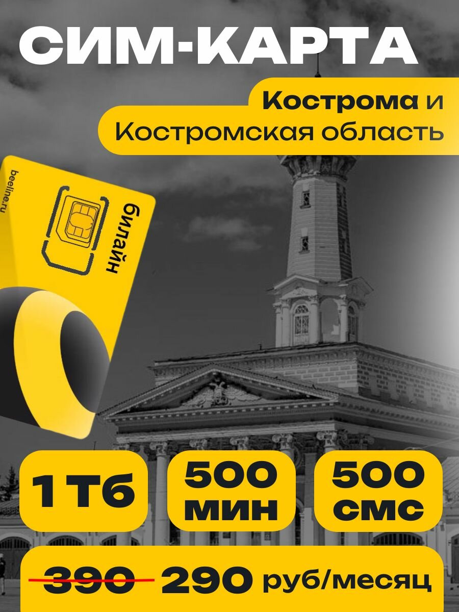 Сим-карта Билайн тариф Эксклюзивный Костромская область 1024 Гб + 500 минут за 290 руб.