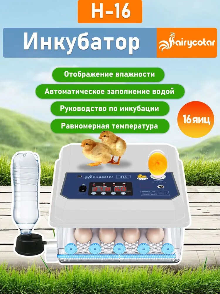 H16 Hairycotar Автоматический инкубатор с гигрометром, бутылка с распылителем, овоскопом, инструкция на русском языке, автоповоротом на 16 куриных яиц 220/12V
