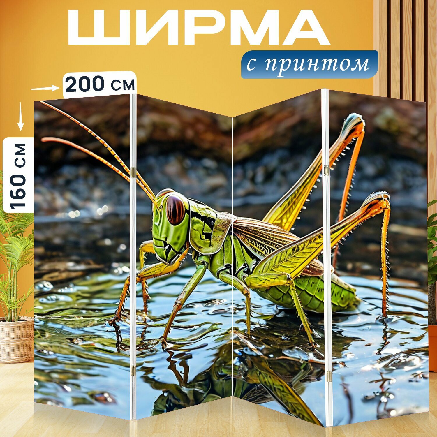 Ширма "Зеленый кузнечик, пьет воду, яркие цвета раздел энтомологии насекомое" перегородка для зонирования комнаты с принтом 200x160 см. на холсте