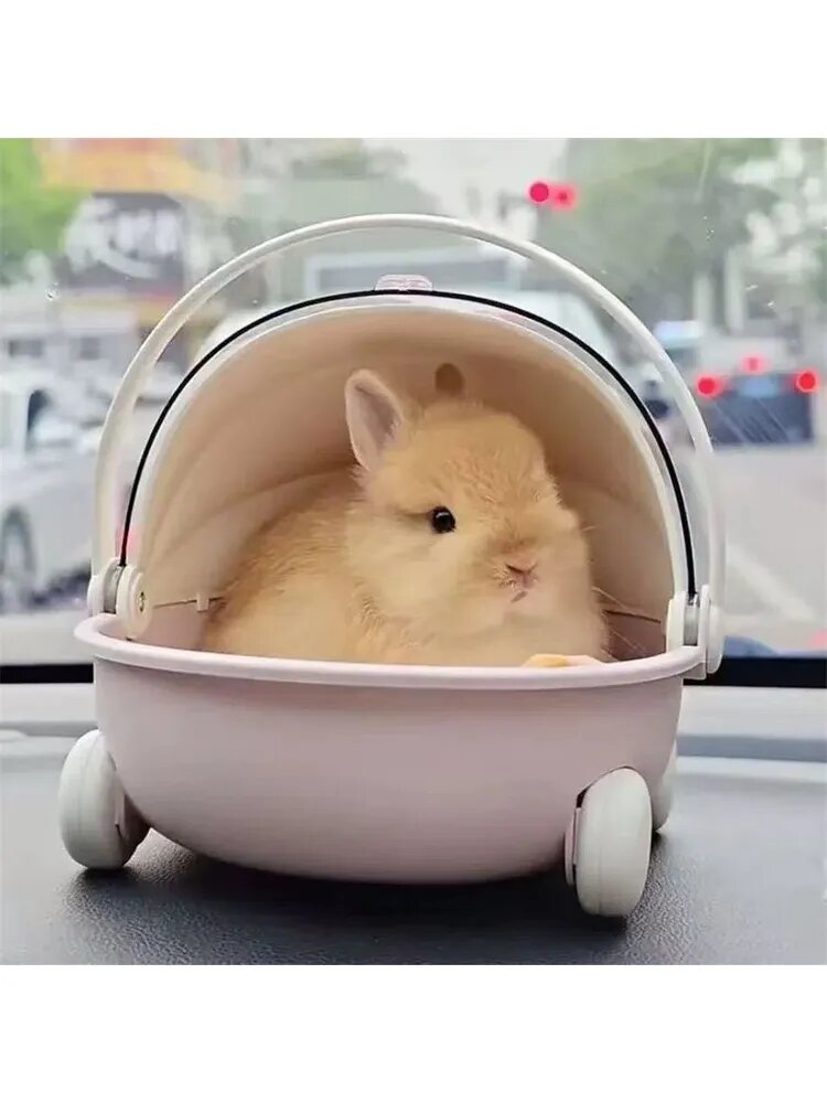 Кролик спит в домике — фото 1