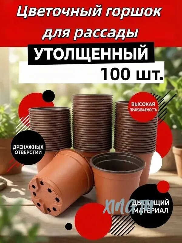 Ящик для рассады