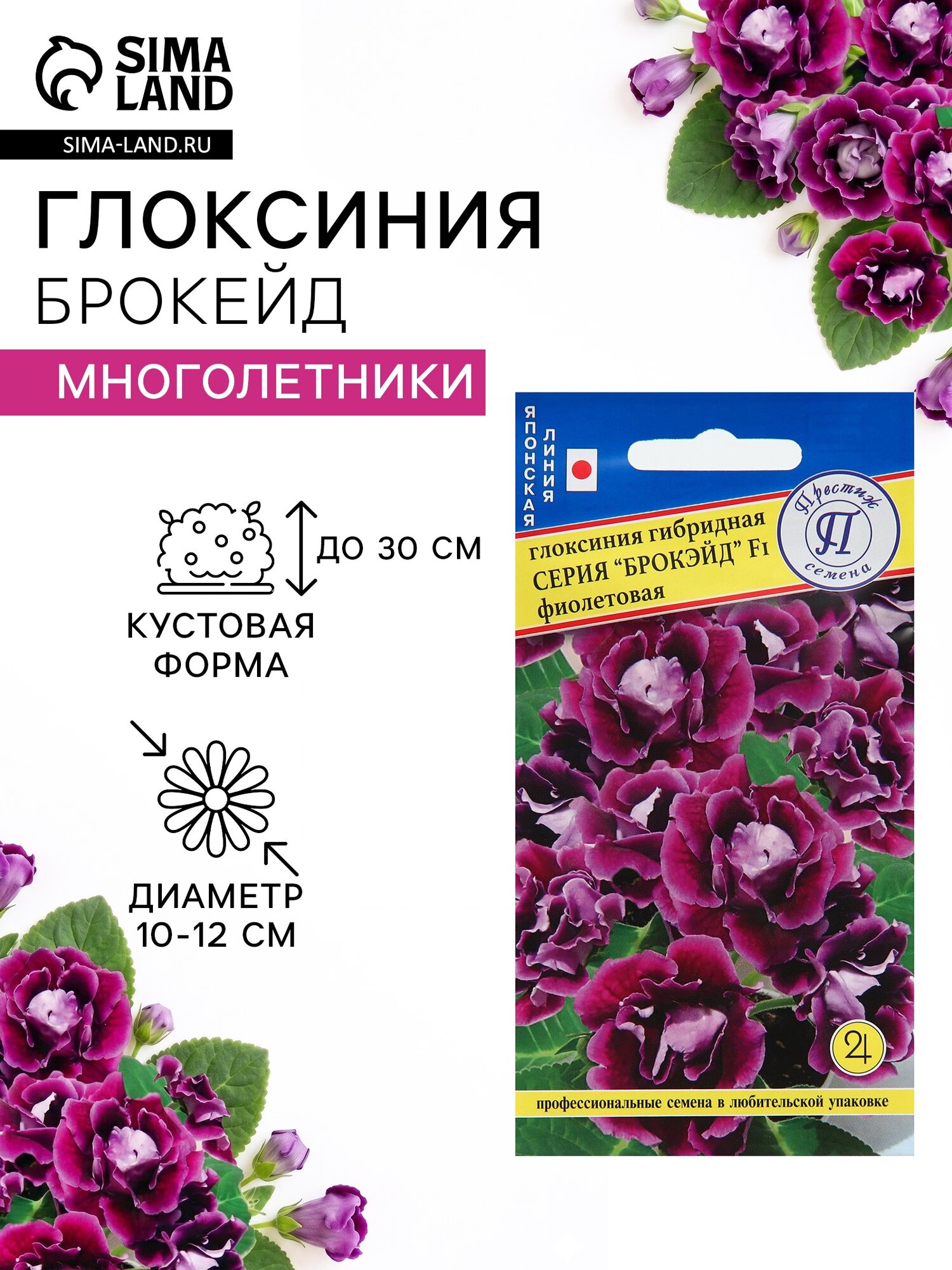 Семена цветов Глоксиния «Брокэйд», фиолетовая, F1, 5 шт, «Престиж семена»