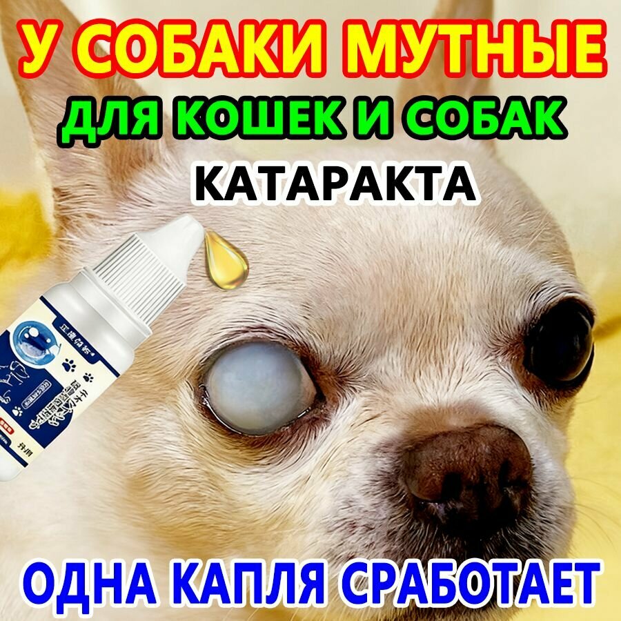 Капли для животных. Глазные для кошек и собак Капли от катаракты для Собаки кошки 20 мл