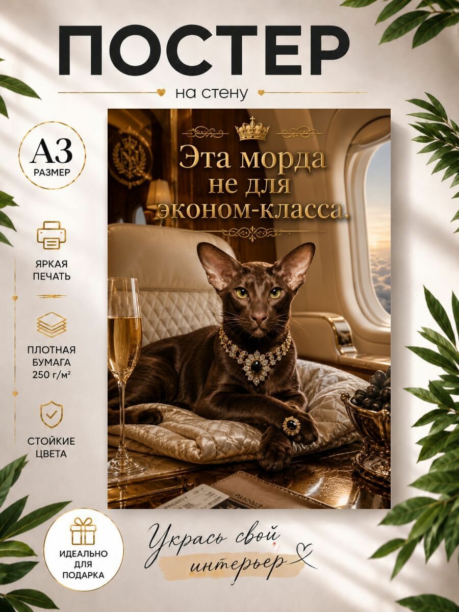 Смешной постер с кошкой прикольный подарок кошатнице