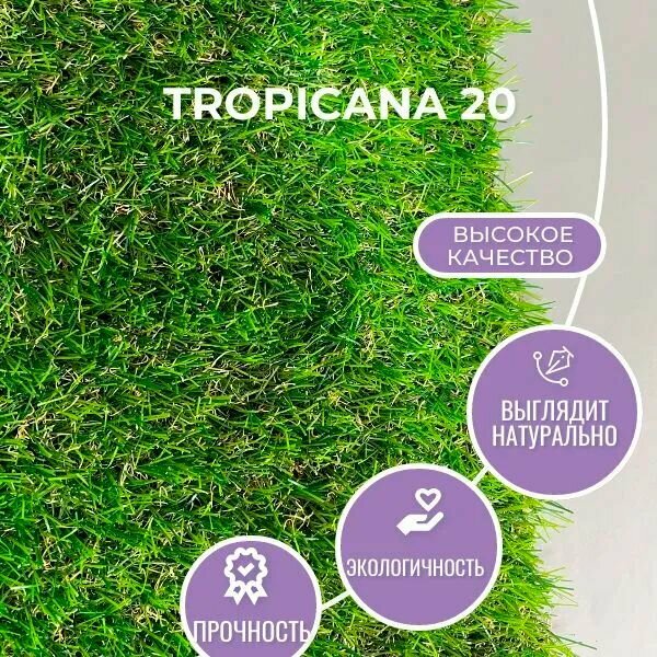 Газон искусственный "Tropicana" 20мм. ворс (2м х 5м)