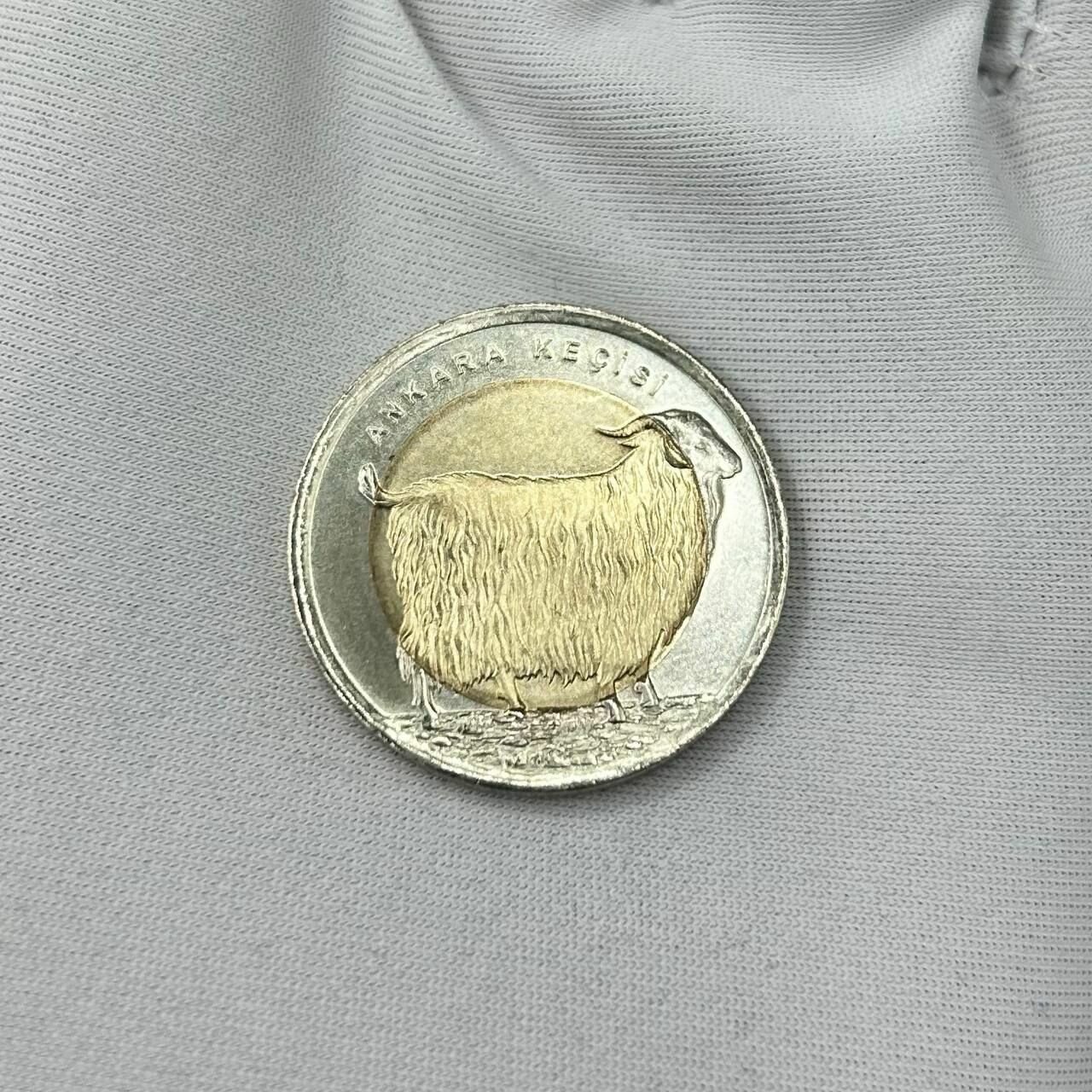 Монета 1 лира, 2015 год, Ангорская Овца!