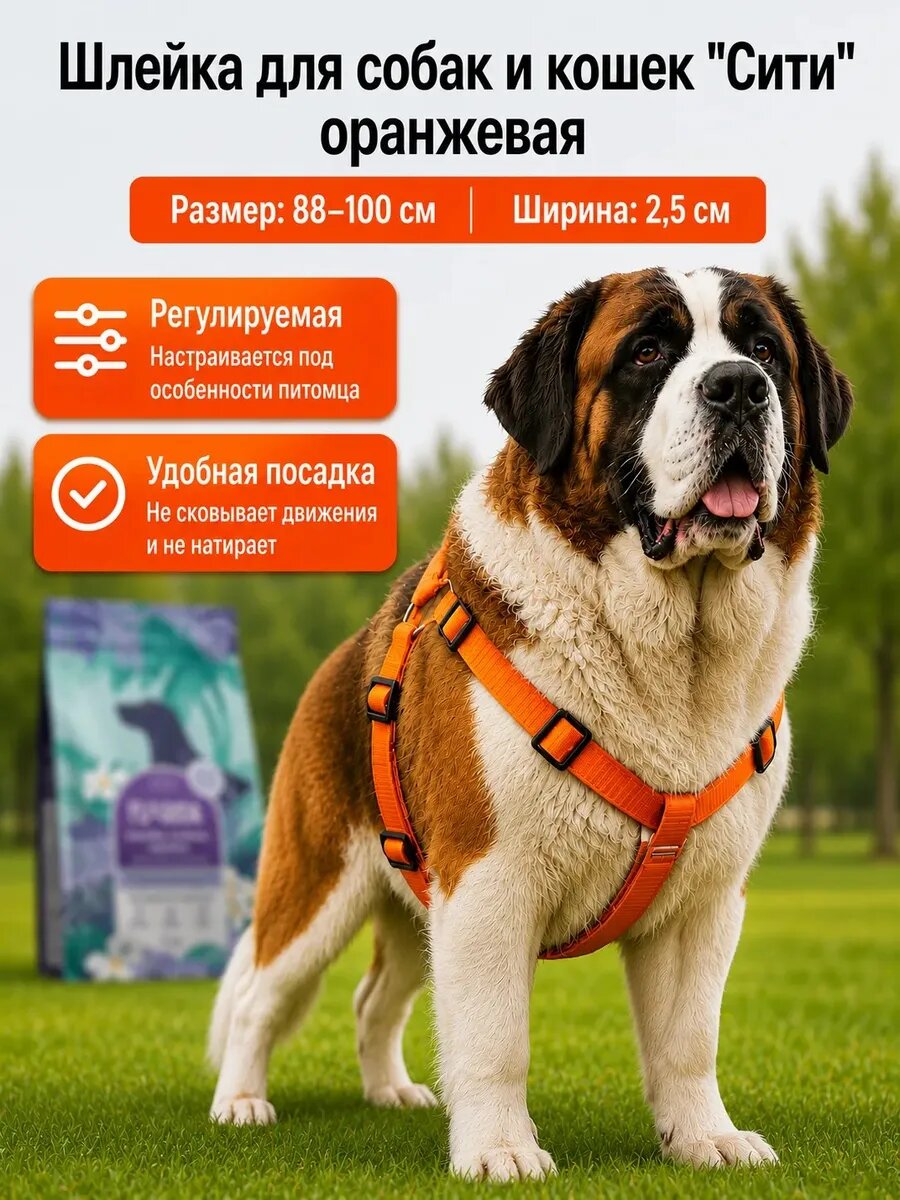 Yami Yami амуниция Шлейка Сити XL оранжевая 25мм, ОШ 84-90см, ОГ 88-100см