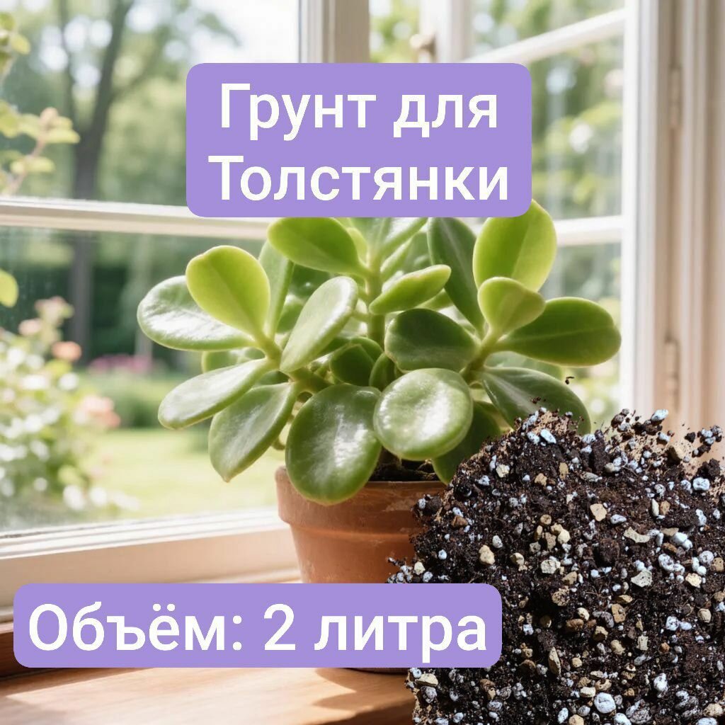 Авторский грунт для Толстянки 2 литра универсальный грунт 2 литра