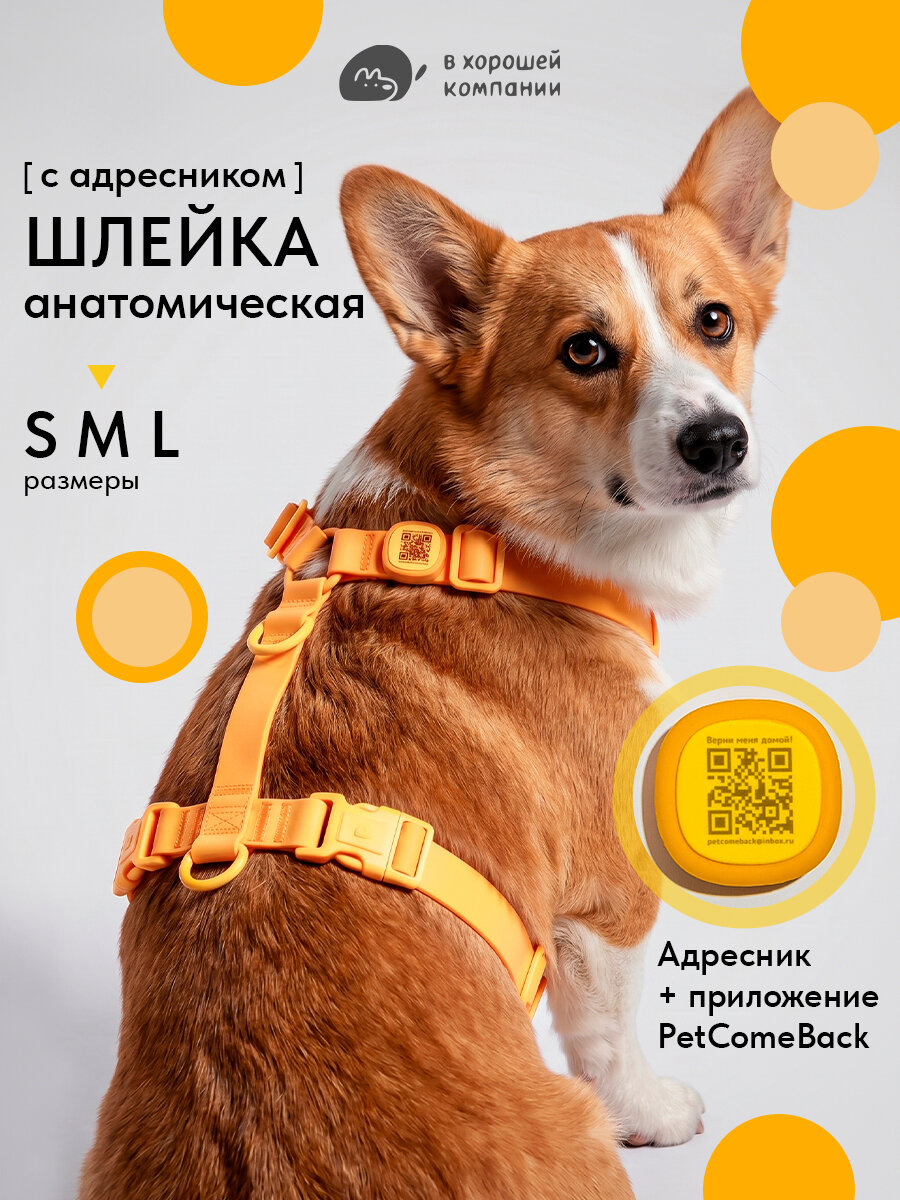 Анатомическая прогулочная шлейка для собак средних пород IN GOOD COMPANY В хорошей компании (М / желтый / неотан)