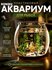 Пластиковый аквариум для рыб — аквариум с золотыми рыбками, средний размер, для ...