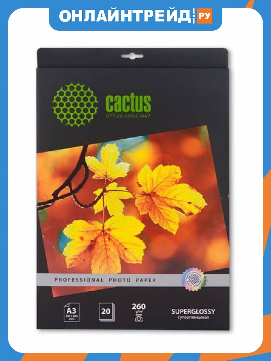 Фотобумага Cactus CS-HGA326020 Professional суперглянцевая А3 260 г/м2 20 листов