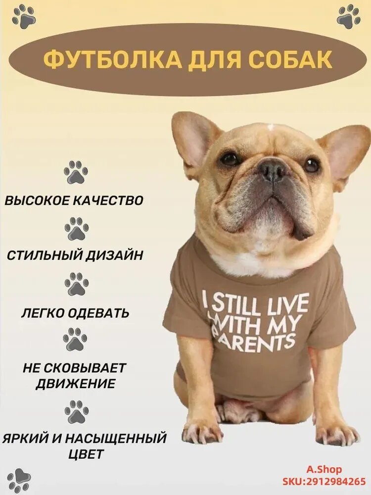 Одежда для животных