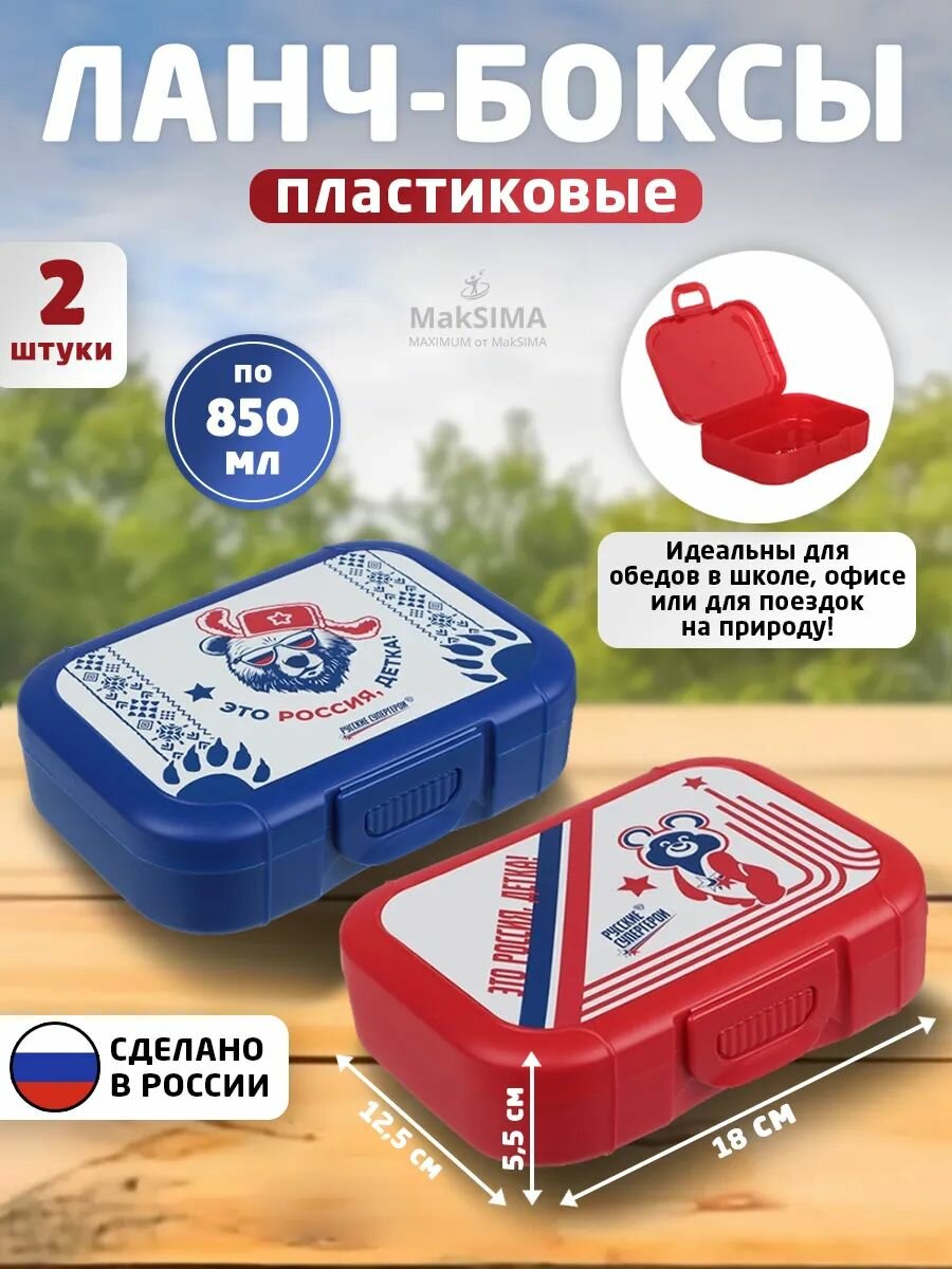 Ланч-бокс 0,85л (18х12,5х5,5см), 1шт