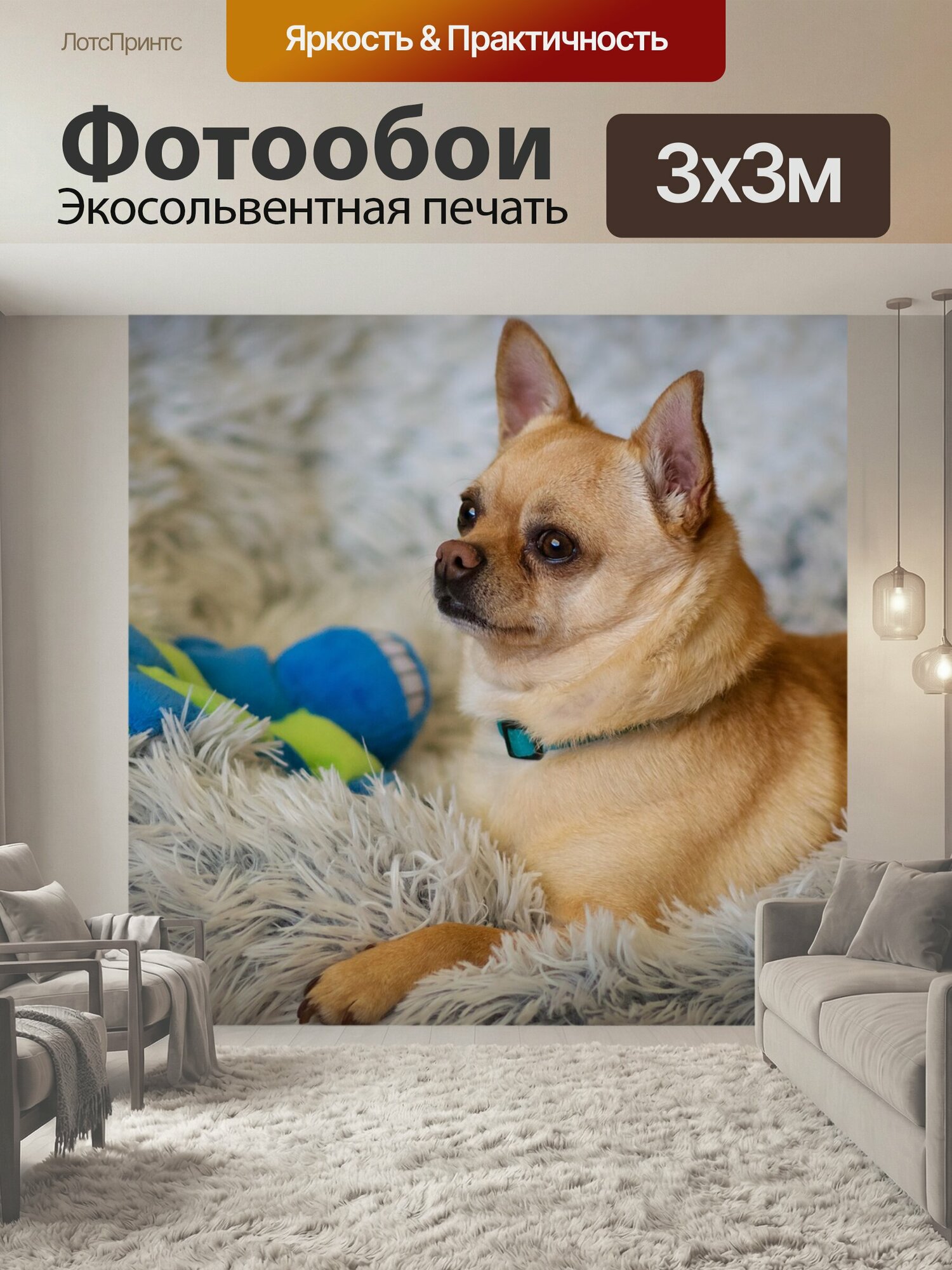 Фотообои "Милый, собака, животное" 300x300 см. экосольвентная печать