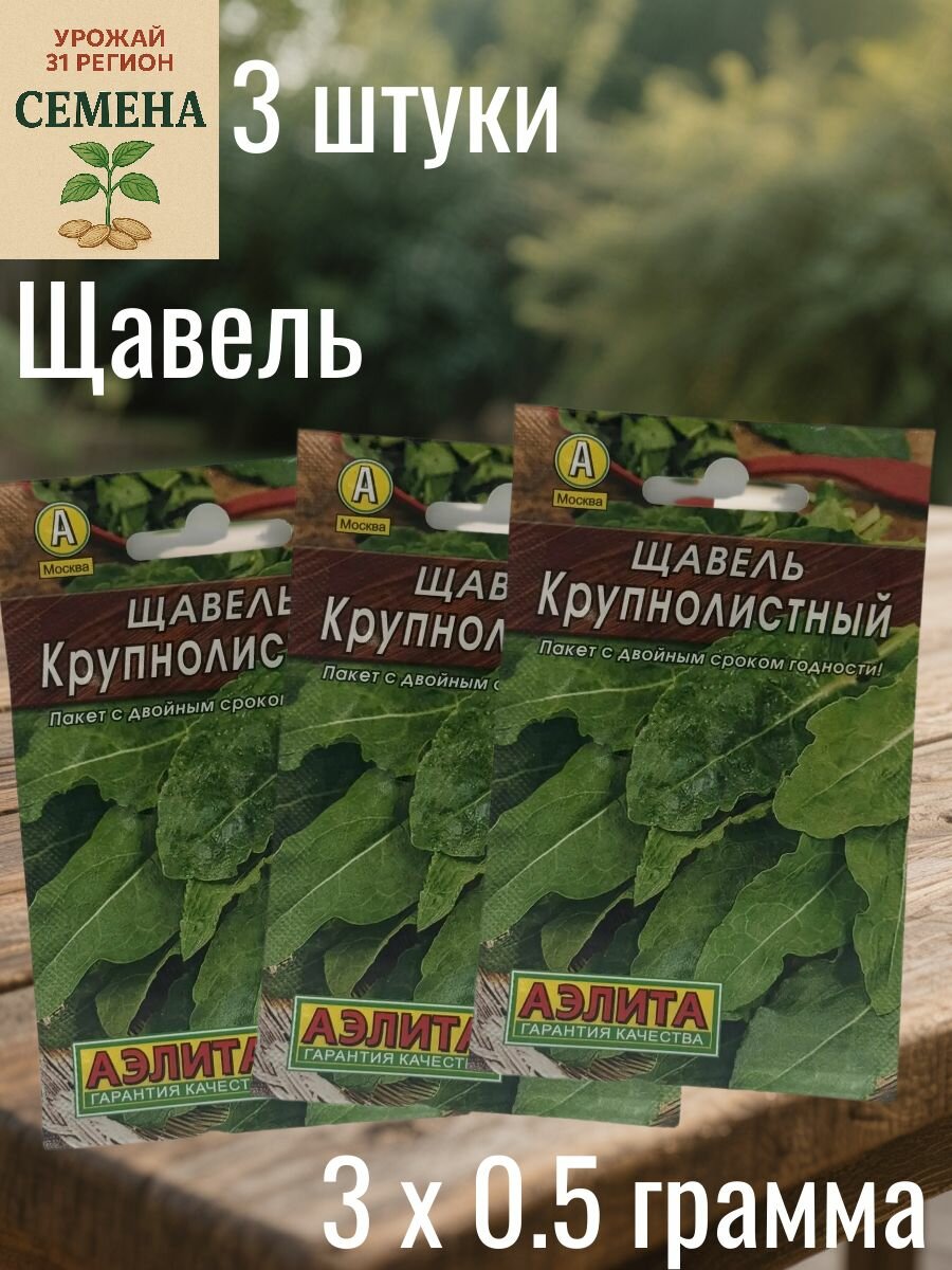 Семена щавель Крупнолистный 3 упаковки для посадки в огород зелень овощ