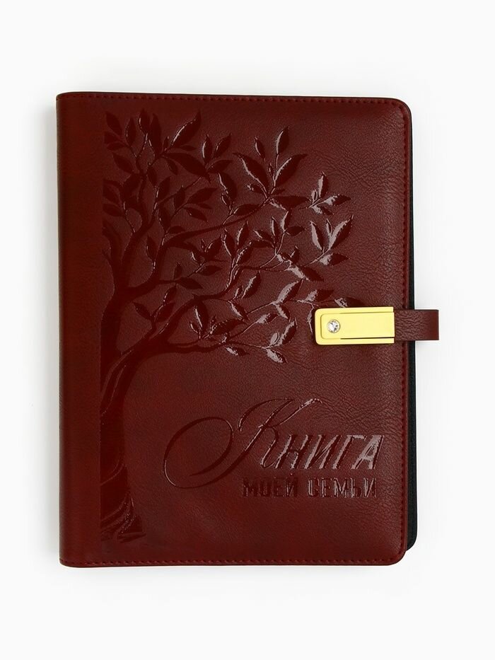 Родословная книга со встроенной флешкой 16 Gb Книга всей семьи . 17,5х23 см