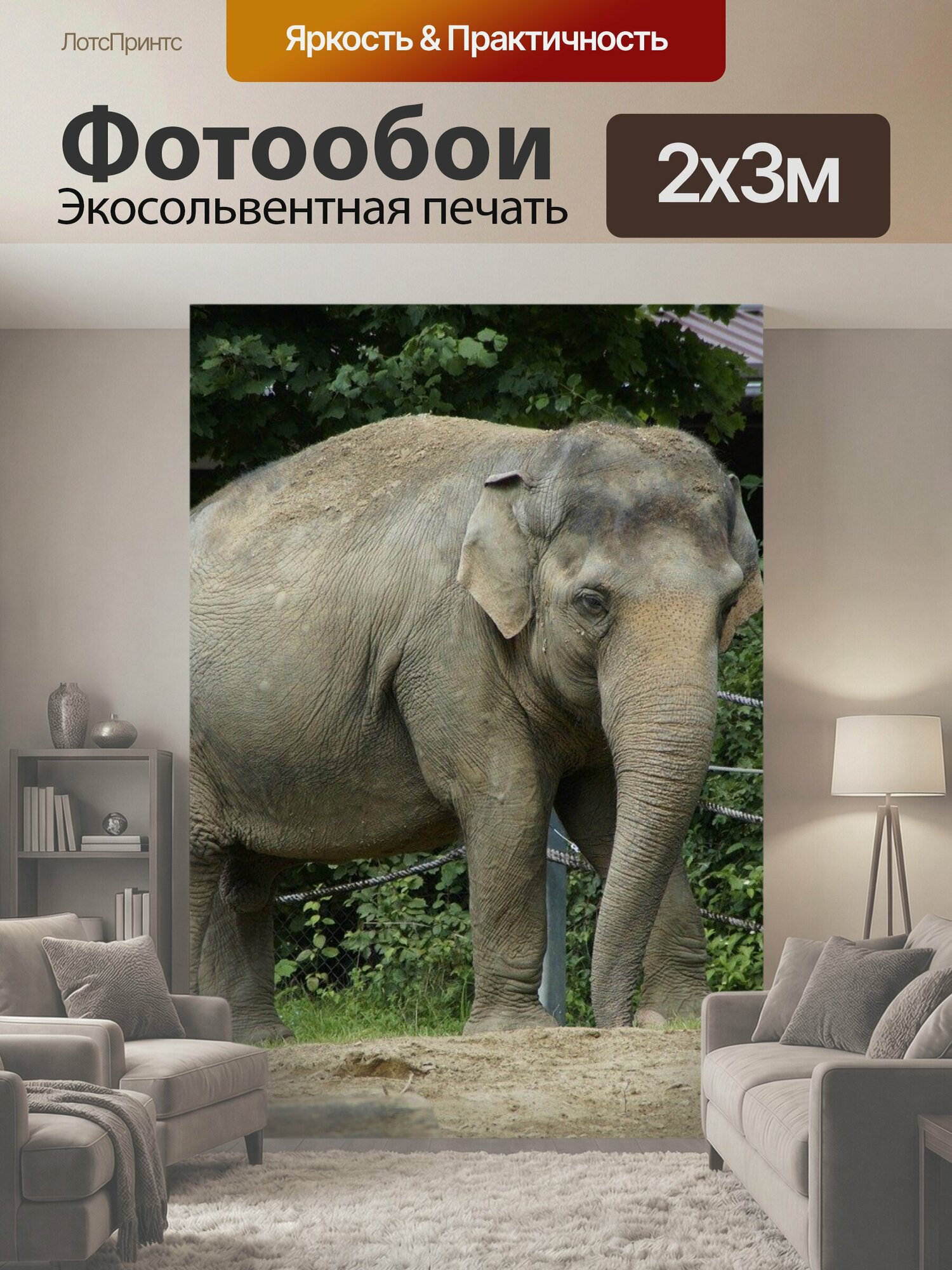 Фотообои "Слон, индийский слон, животное" 200x300 см. экосольвентная печать