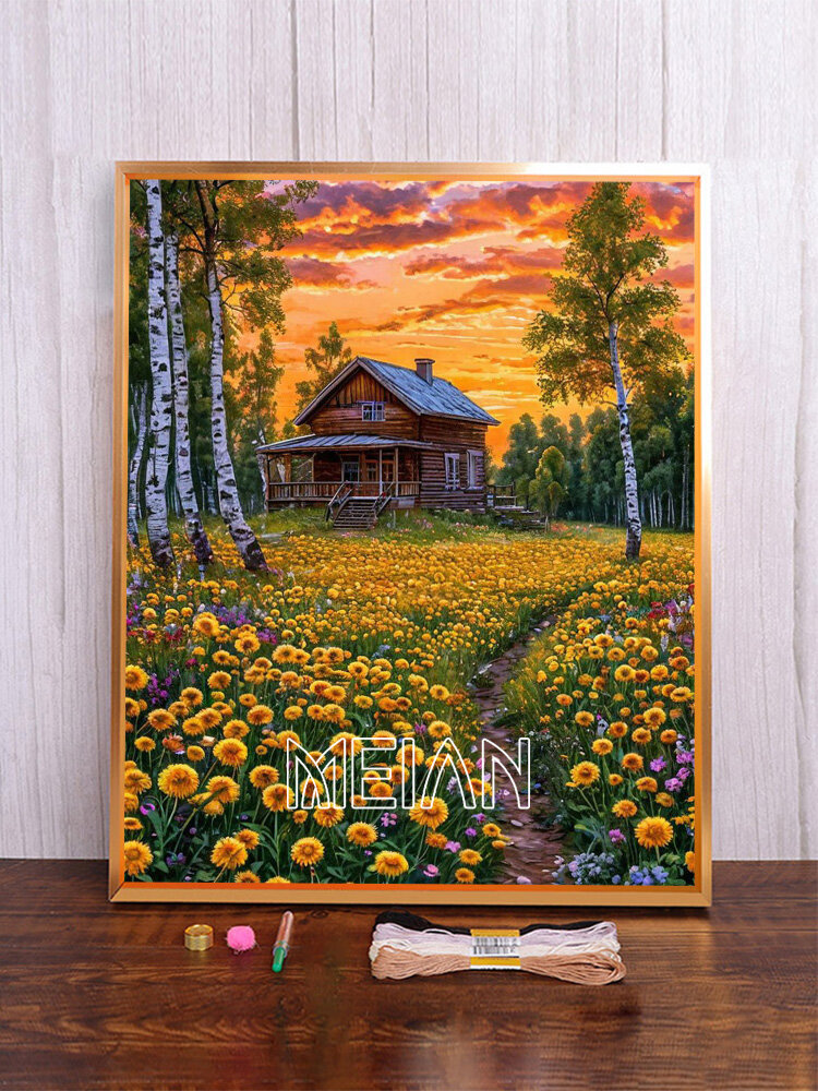 MEIAN Набор для вышивания,30x40CM,11CT,40 цветов