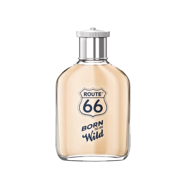 Route 66 Born To Be Wild туалетная вода 100 мл для него - Рут 66 Борн Ту Би Вайлд