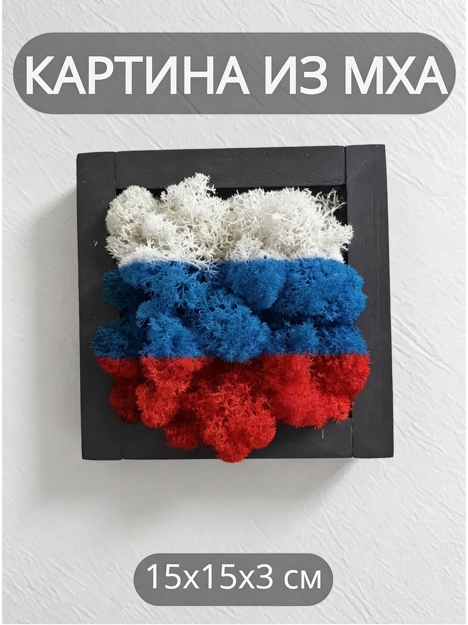 Панно из стабилизированного мха Ягель, украшение настенное, размер 15х15, флаг России, триколор