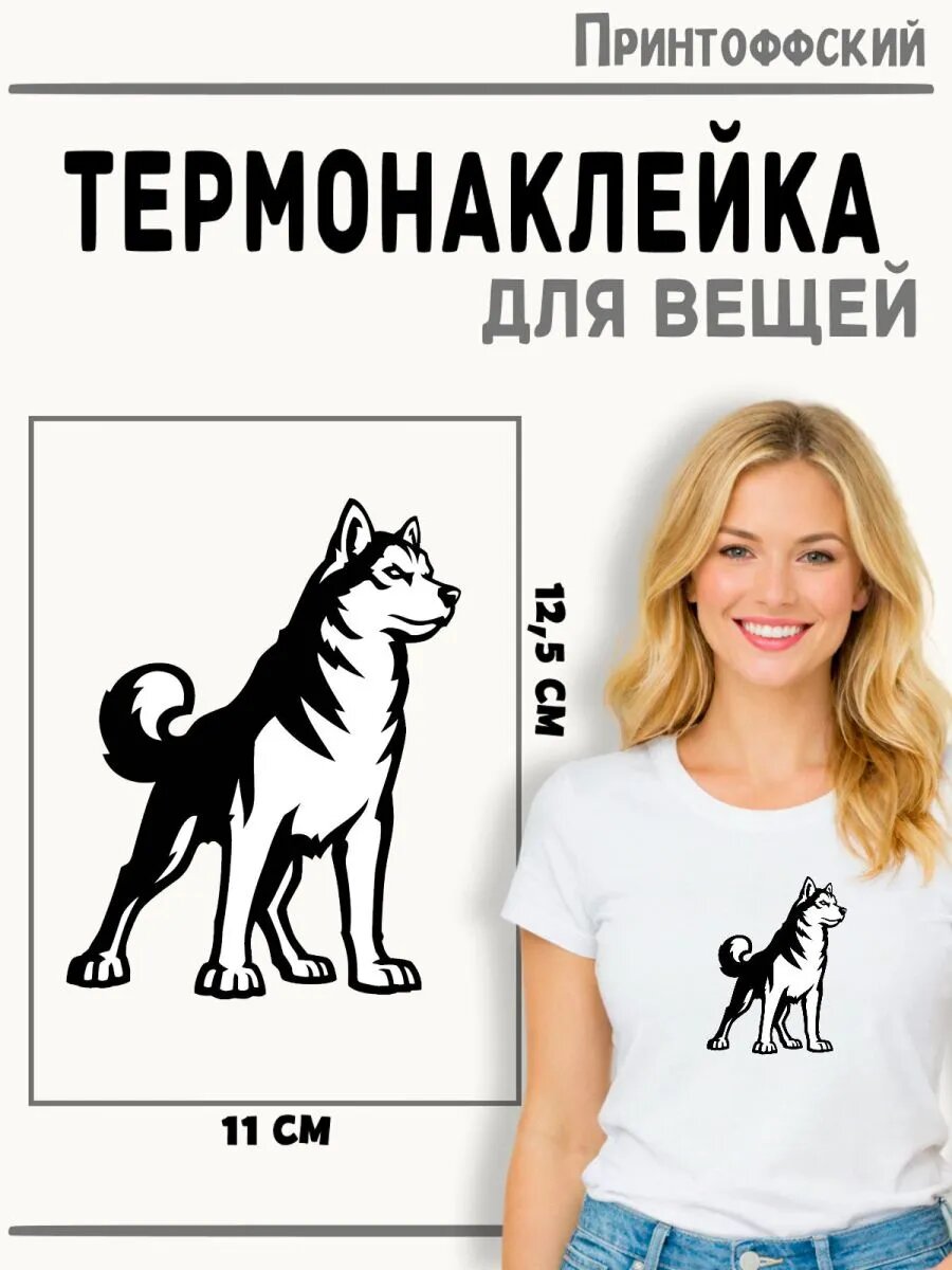 Термонаклейка Хаски — фото 1