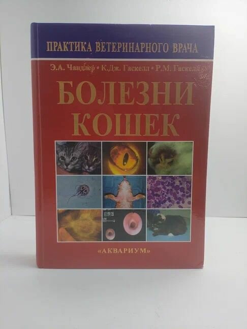 Болезни кошек