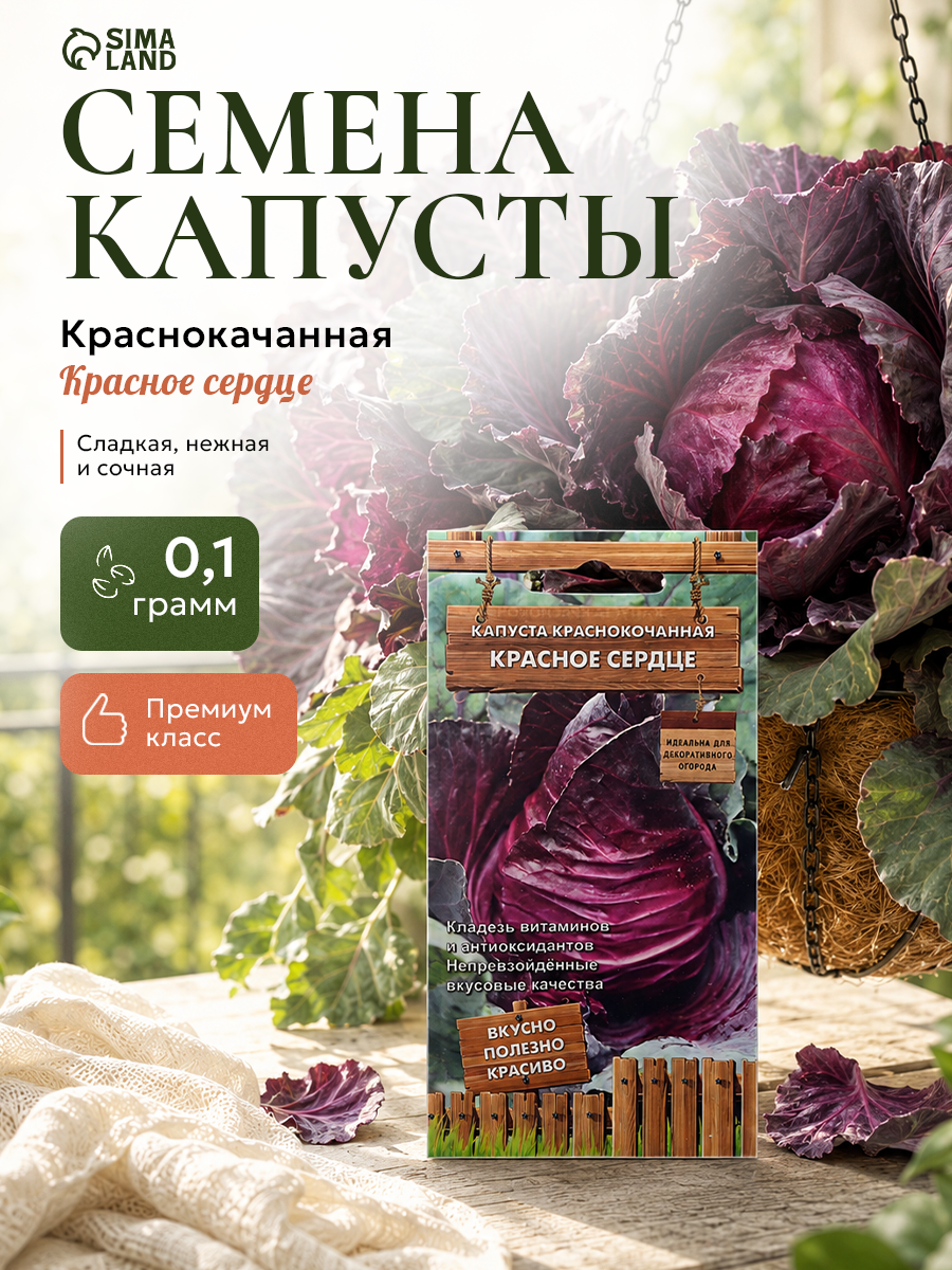 Семена Капуста краснокочанная «Красное сердце», 0.1 г, «Поиск»
