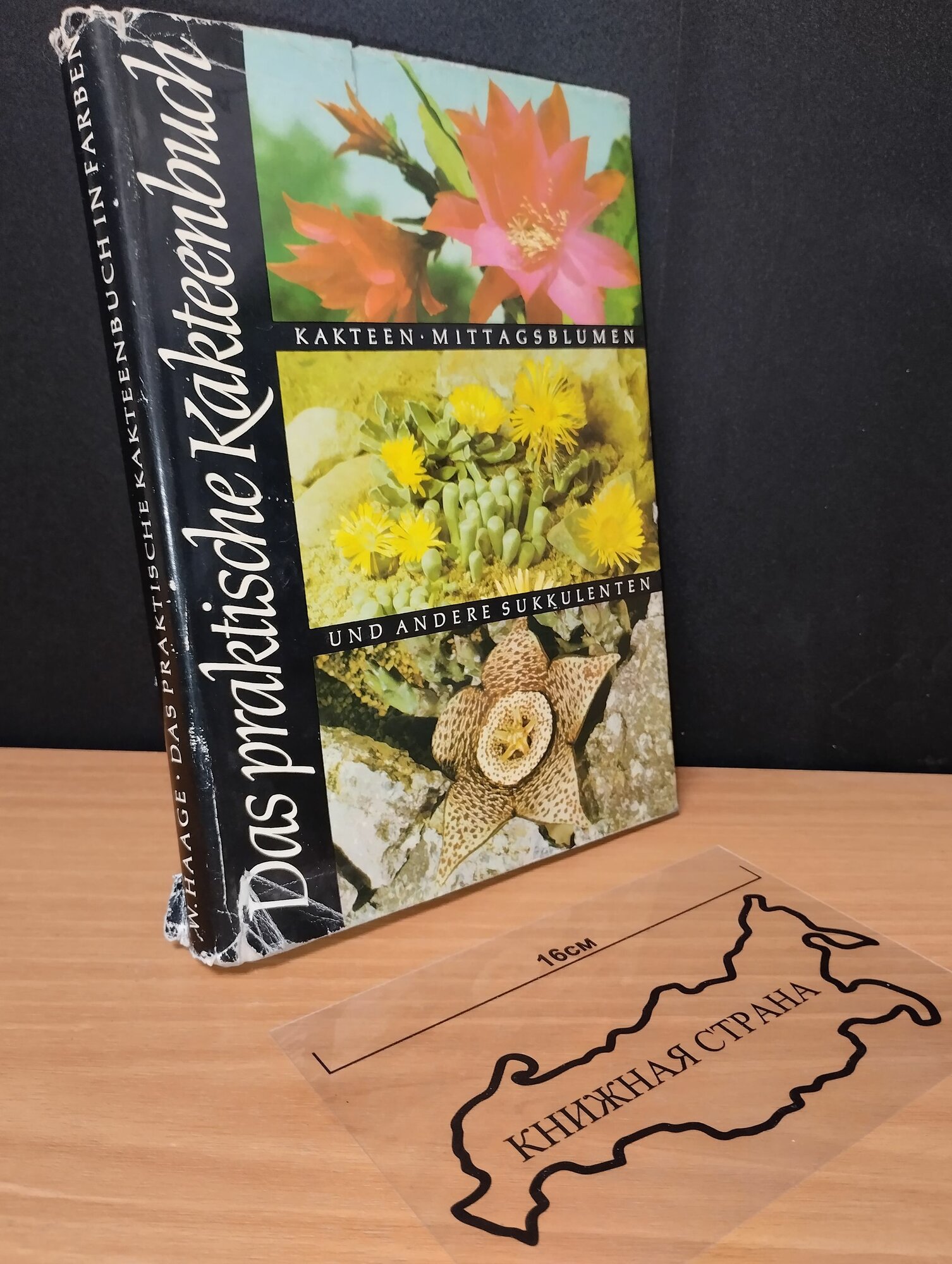 Das praktische Kakteenbuch in Farben. Walter Haage
