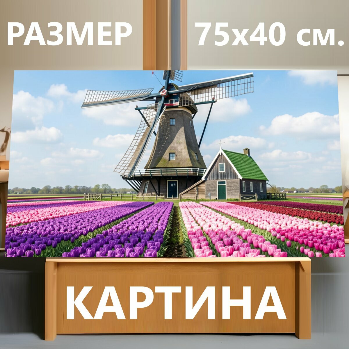 Картина на холсте "Голландская мельница среди тюльпанов. Живописная сельская панорама с ветряной мельницей и аккуратными рядами цветущих." на подрамнике 75х40 см. для интерьера
