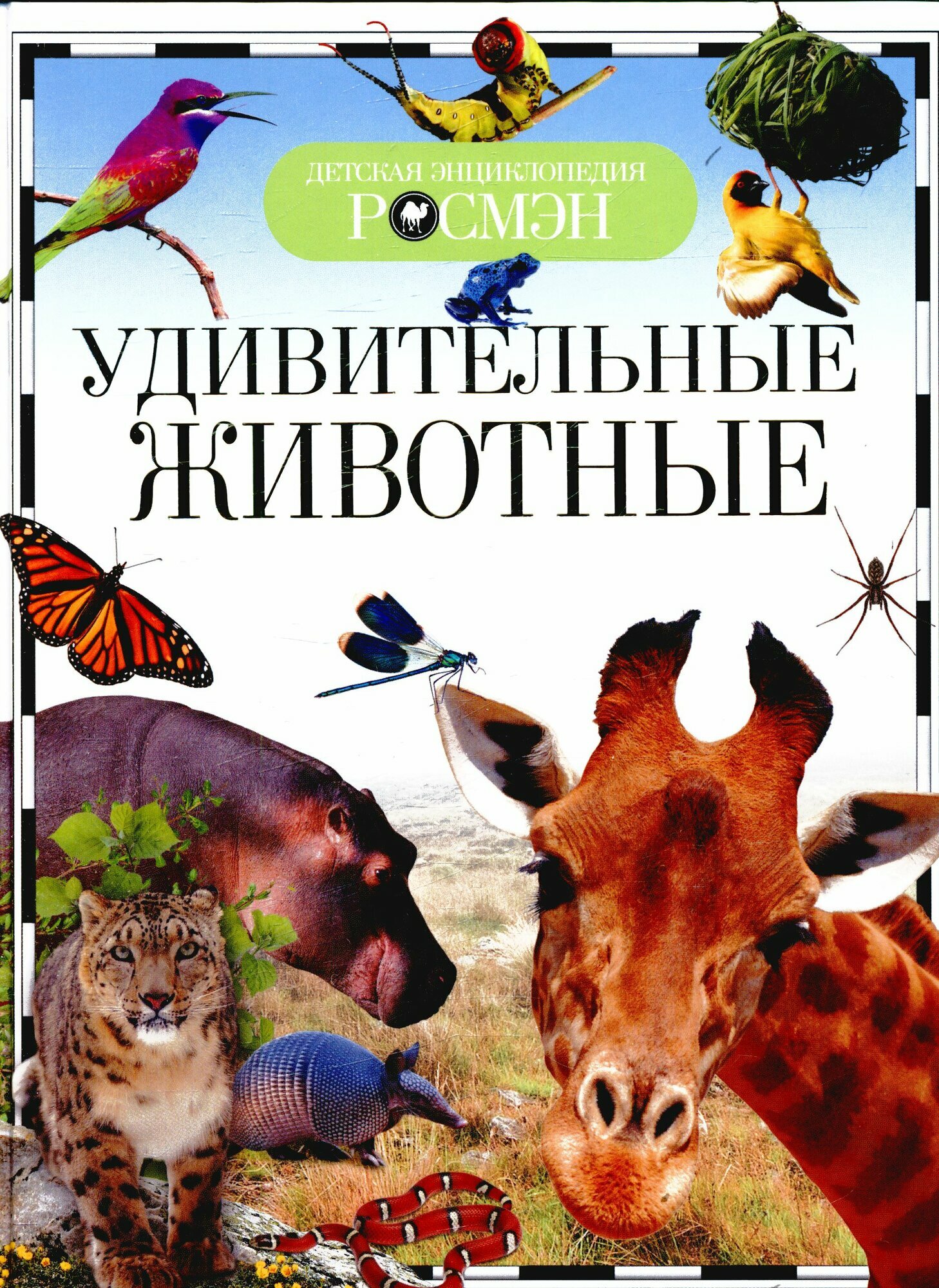 Удивительные животные (ДЭР)