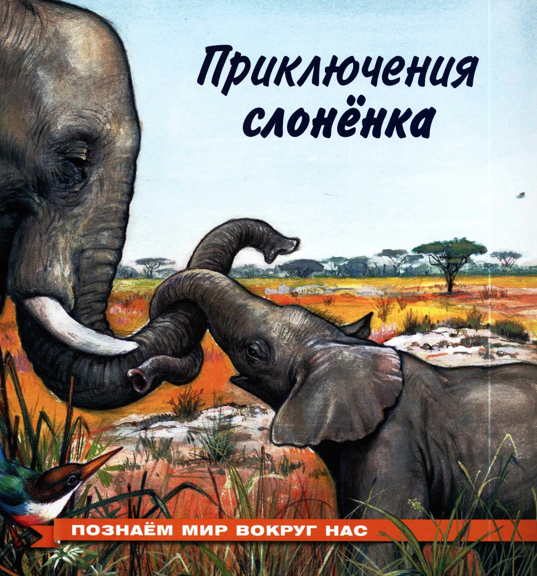 ПознаемМирВокругНас Приключения слоненка, Арт.21245/25892, (Фламинго, 2020)