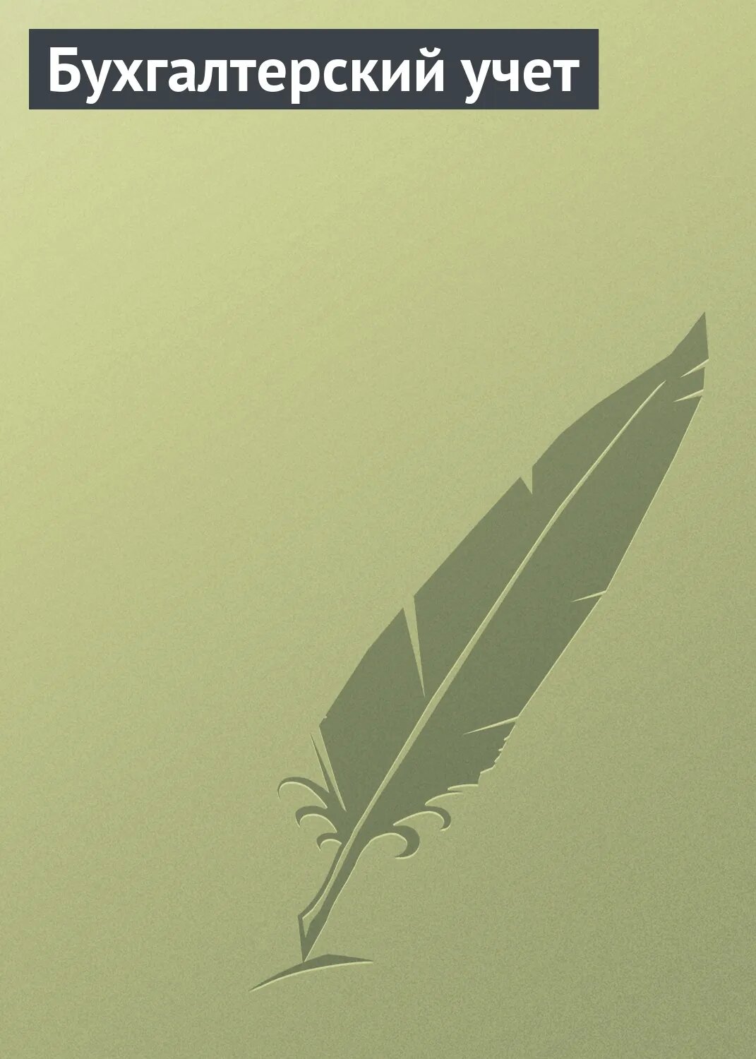 Бухгалтерский учет [Цифровая книга]