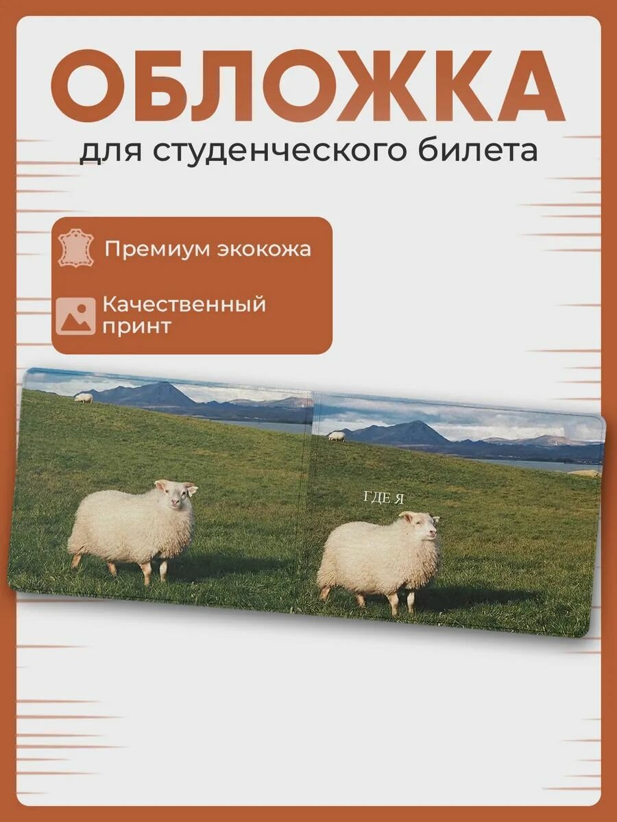 Обложка для студенческого билета СП СТОУНИ