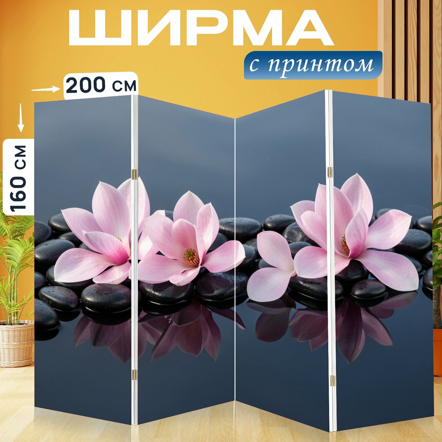 Ширма "Розовые магнолии на черных камнях. Нежные цветы в спа-композиции с гладкой галькой и зеркальным." перегородка для зонирования комнаты с принтом 200x160 см. на холсте