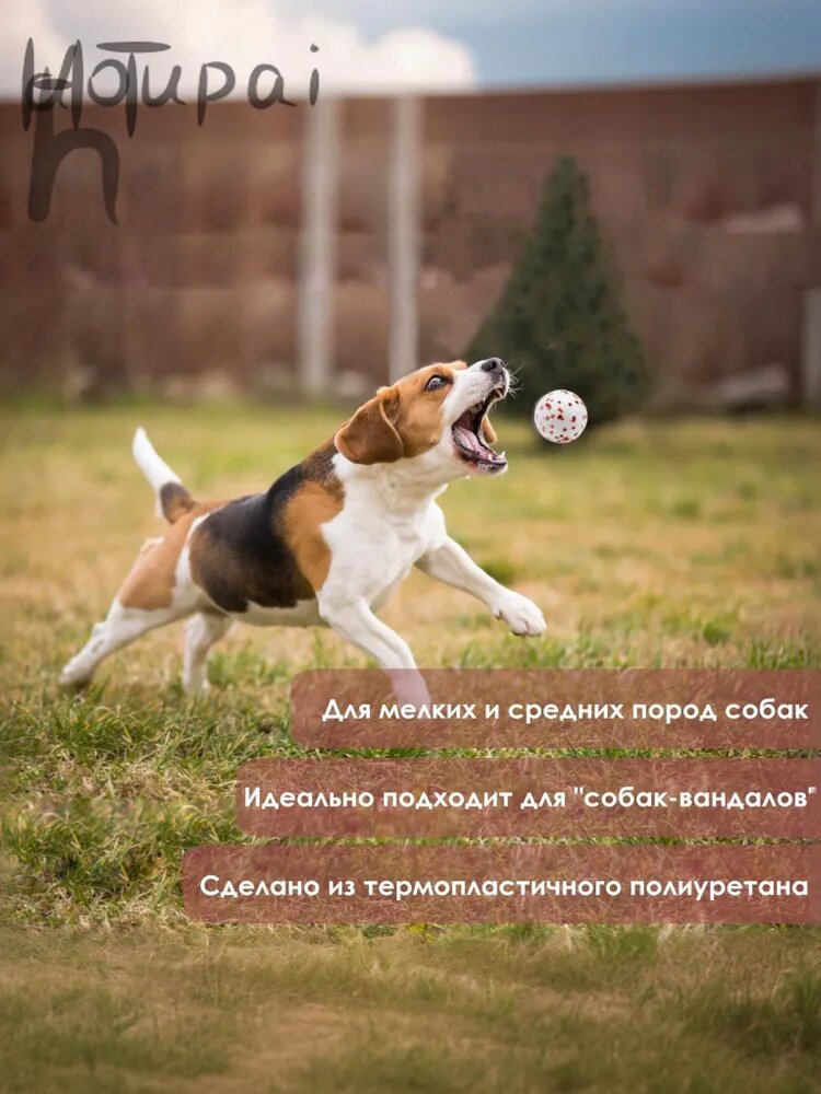 Игрушка для животных5 — фото 1