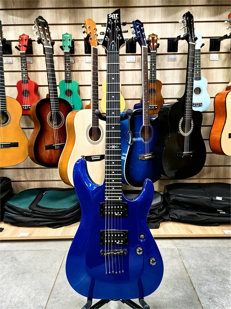 Электрогитара Schecter SGR C-1 EB — фото 1