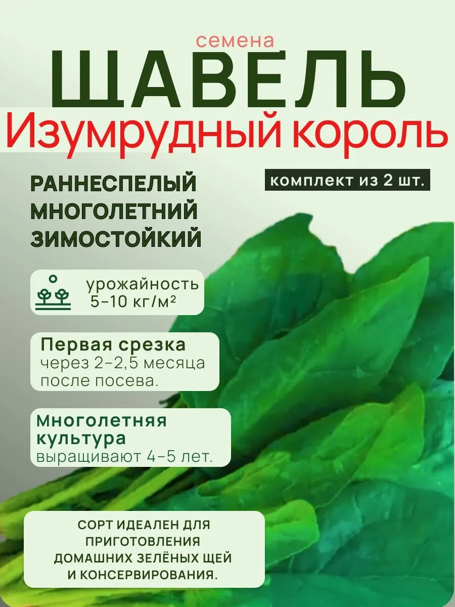 Семена щавеля Агрофирма Аэлита "Изумрудный король", раннеспелые, зимостойкие,2 шт.