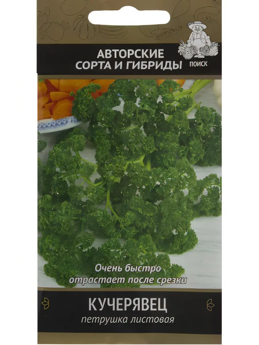 Семена Петрушка Кучерявец