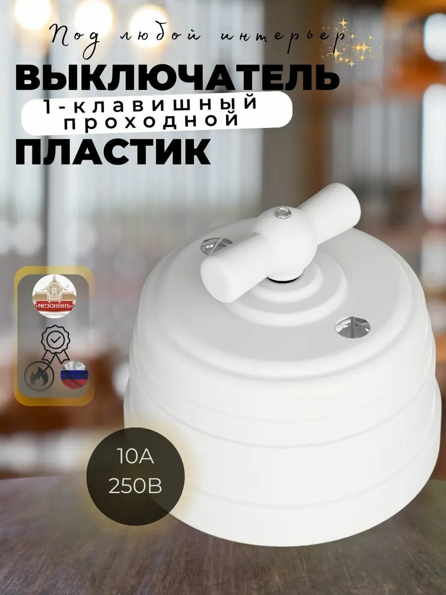 Выключатель/переключатель пластиковый поворотный проходной одноклавишный, цвет - белый, GE30404-01