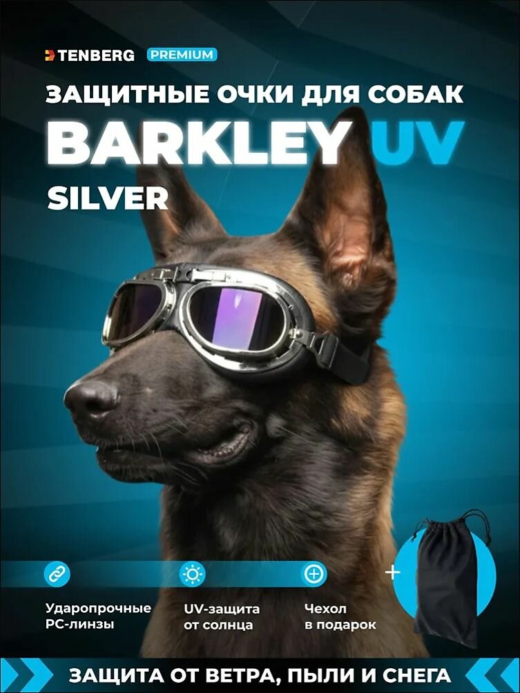 Очки для собак TENBERG Barkley UV Silver, солнцезащитные, ABS пластик, экокожа, 19х9 см