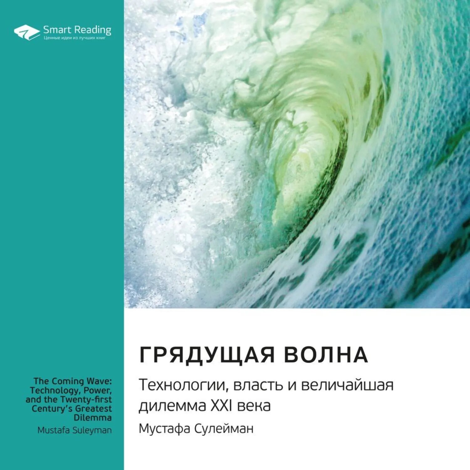 Грядущая волна. Технологии, власть и величайшая дилемма XXI века. Мустафа Сулейман. Саммари [Аудиокнига]