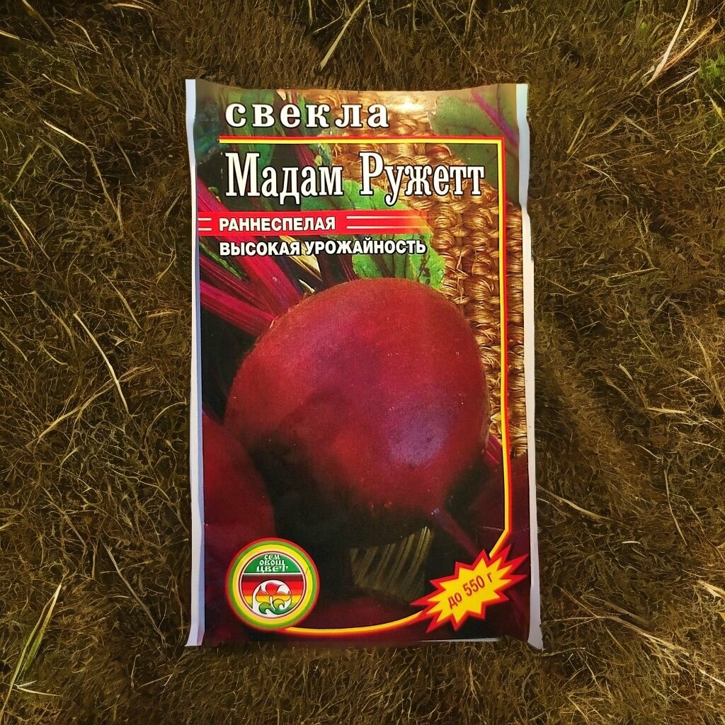Семена свеклы "Мадам Ружетт", раннеспелые, высокая урожайность, округлая форма, высокая лежкость