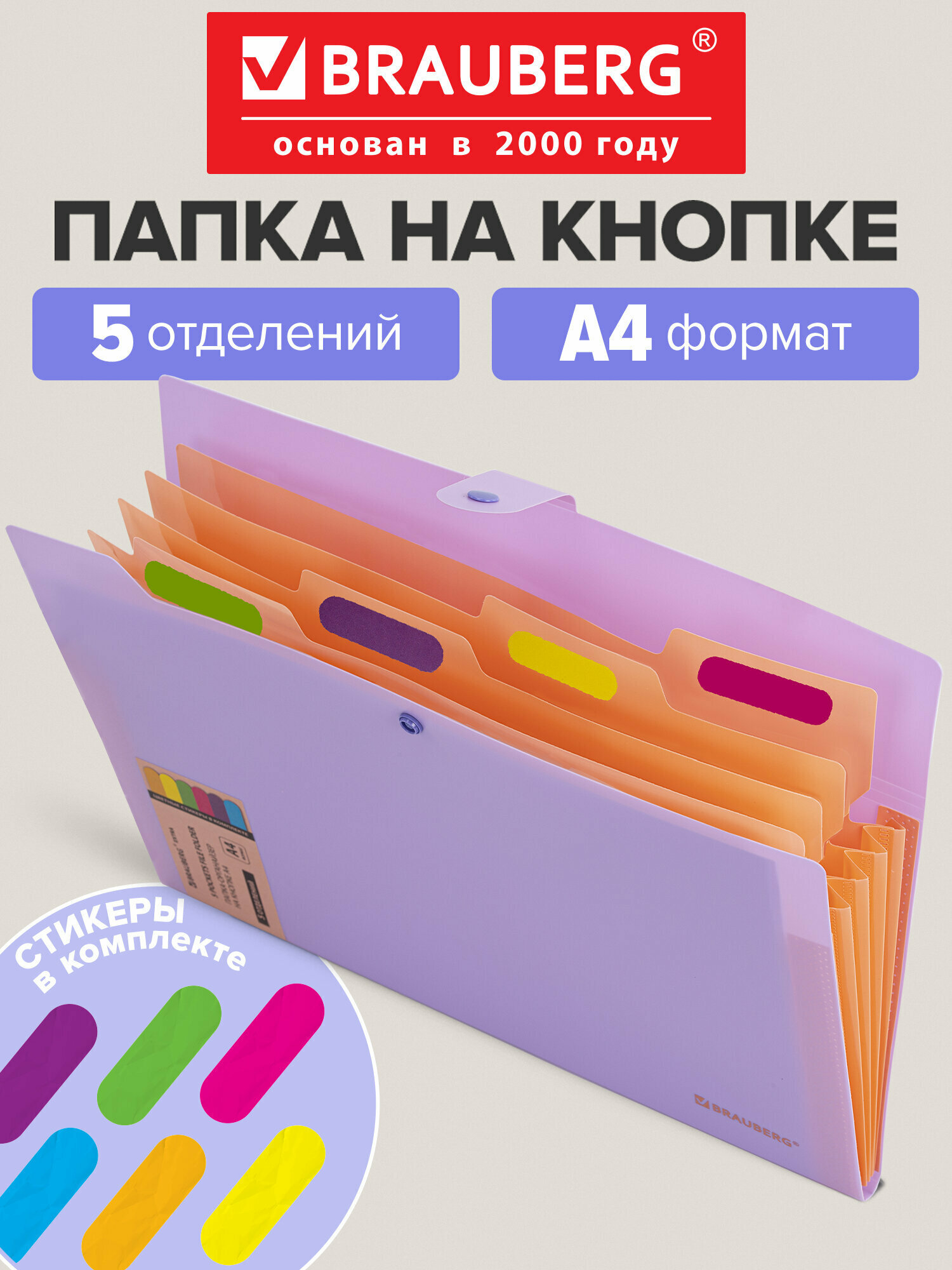 Папка для документов А4 канцелярская на кнопке, органайзер для бумаг 5 отделений, Brauberg Extra, 274098