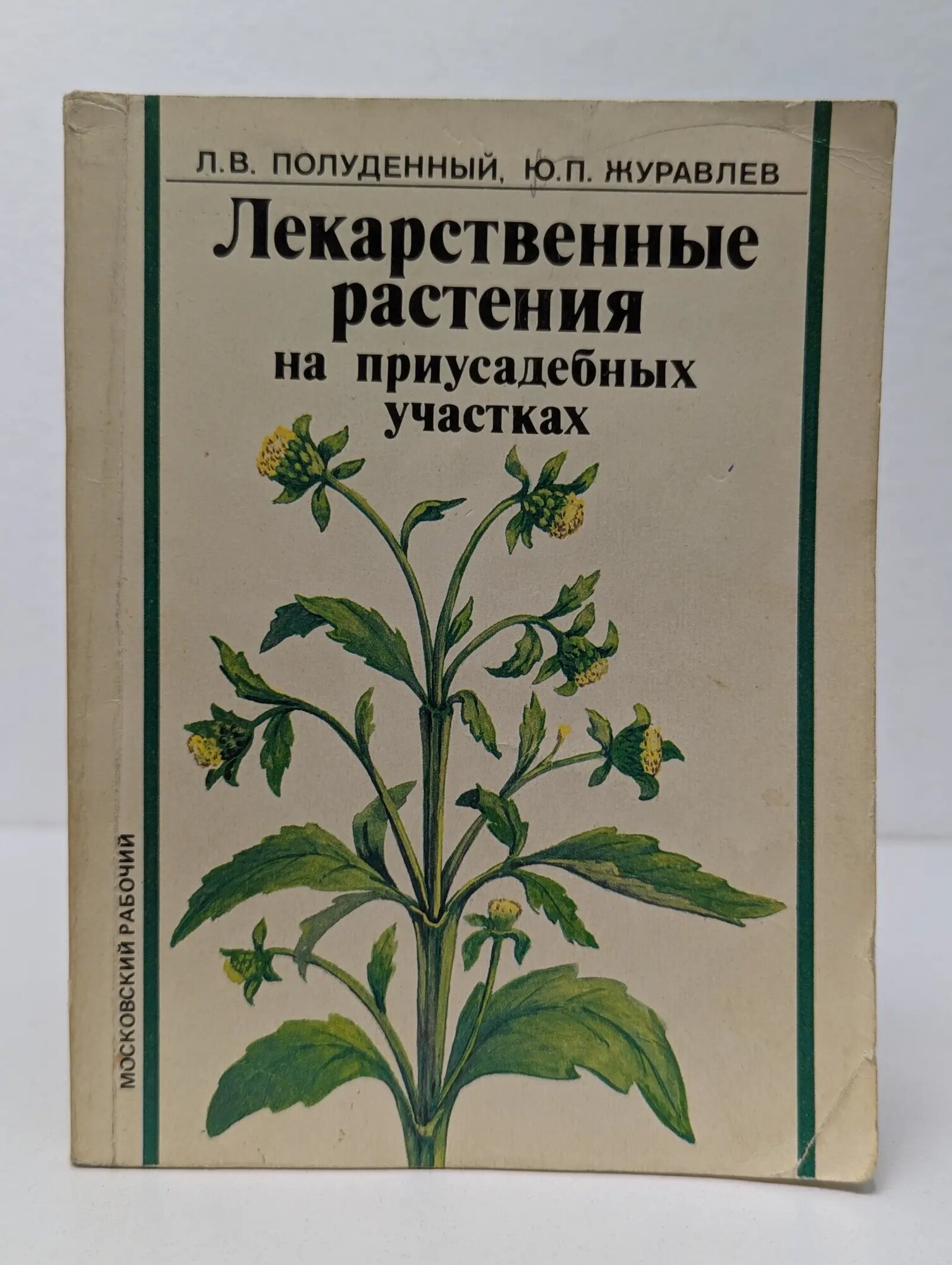 Лекарственные растения на приусадебных участках Полуденный Леонид Владимирович, Журавлев Юрий Павлович 1989