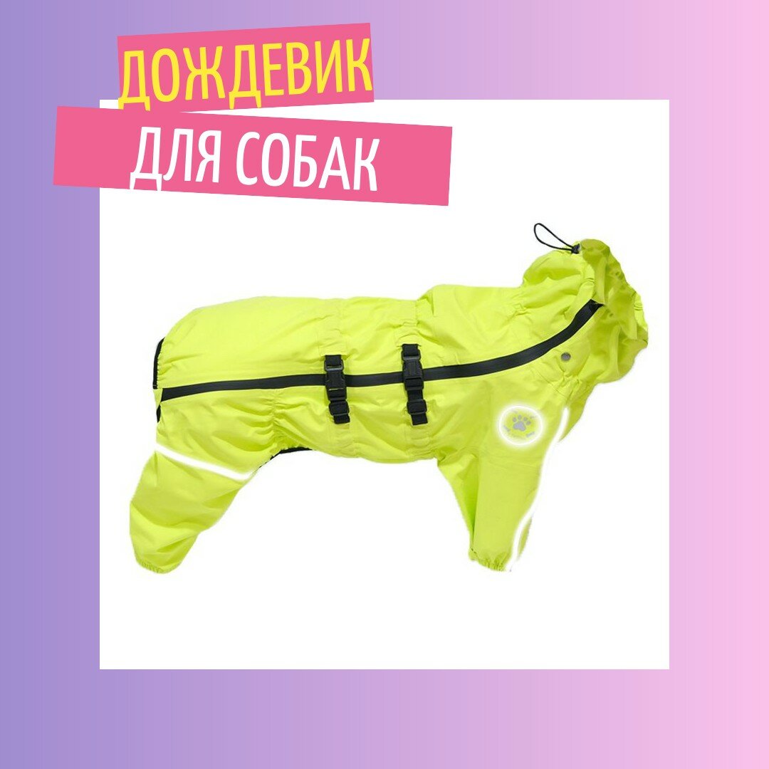 Дождевик для собак мелких и средних пород цвет салатовый