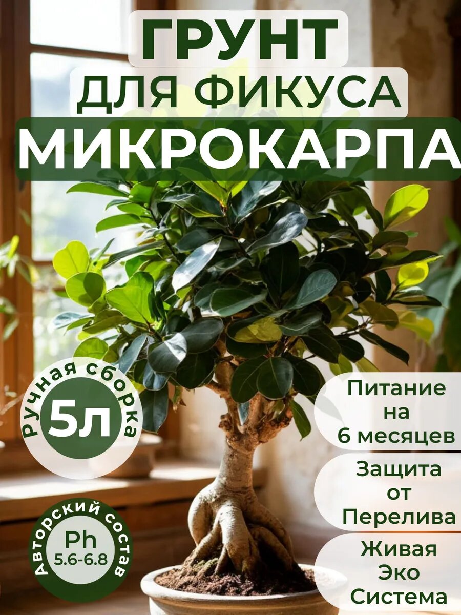Готовый Авторский грунт для фикуса Микрокарпа премиум 5 л