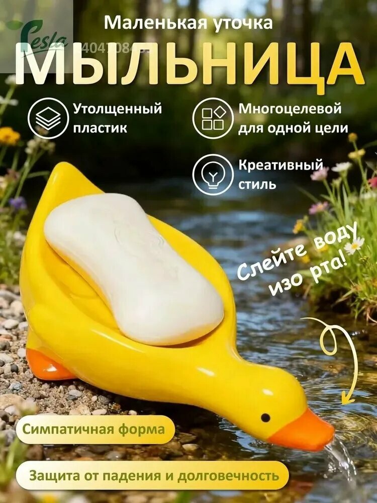 Мыльница