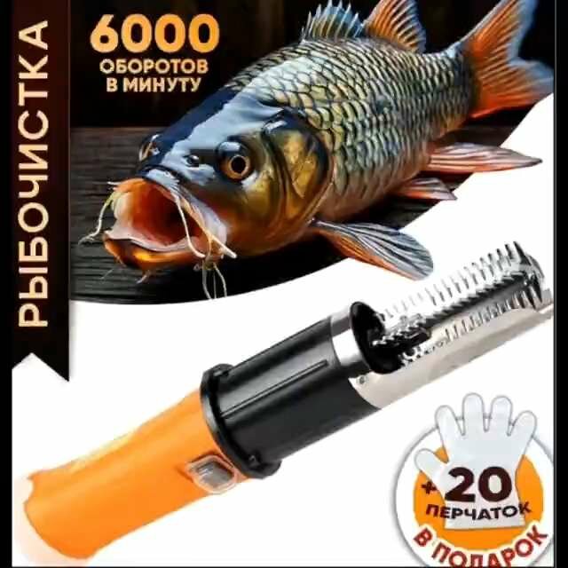 Рыбочистка — фото 1